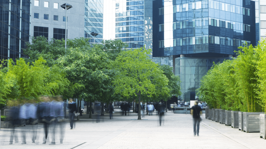 Net-Zero Asset Owner Alliance: Wegbereiter einer zukunftsfähigen ...